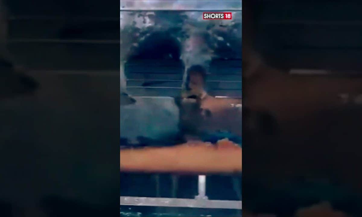 Tamil Nadu | Madurai Train Fire | Fire Accident In A Train In Madurai ...