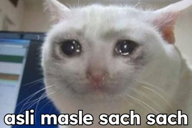 Zomato Tweaks MDH's Asli Masale Sach Sach Tagline For This Oh-So ...