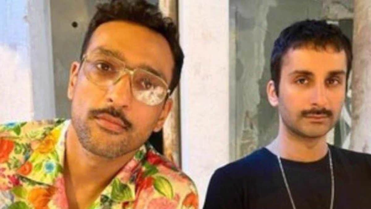 Ali Sethi BREAKS SILENCE On His 'Wedding' With Salman Toor, Pasoori ...