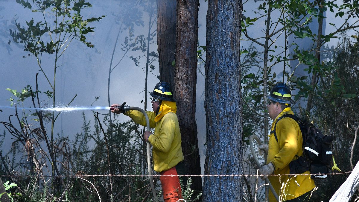 Hawaii Fire Death Toll Nears 100 Anger Grows News18