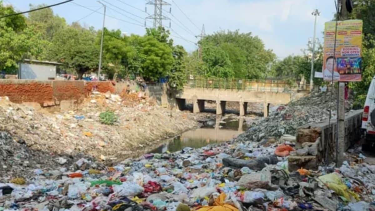 'Why is Delhi So Dirty?' Viral Reddit Pic Showing Heaps of Garbage in ...
