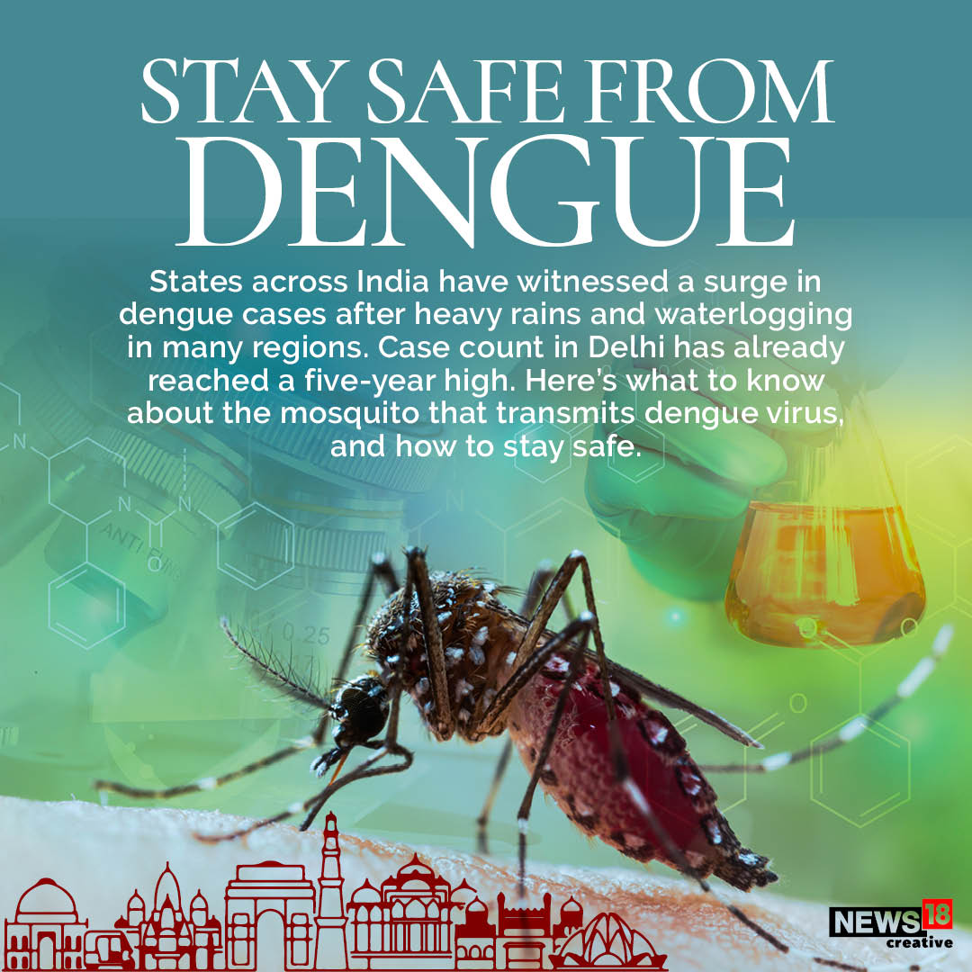 Why Dengue Cases Are On Rise In India And How To Protect Yourself ...