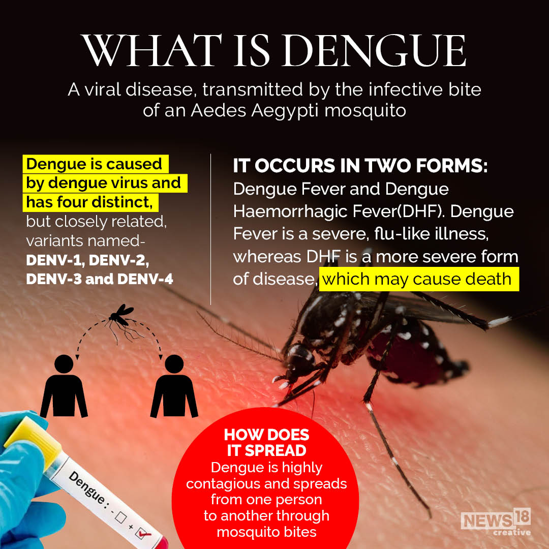 Why Dengue Cases Are On Rise In India And How To Protect Yourself ...