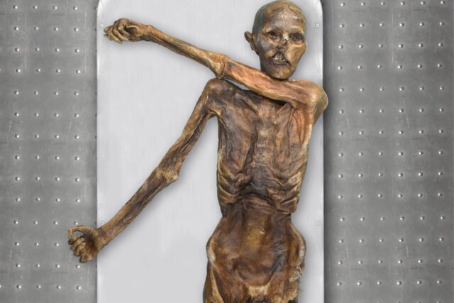 Fresh Look at DNA From Oetzi the Iceman Traces His Roots to Present Day ...