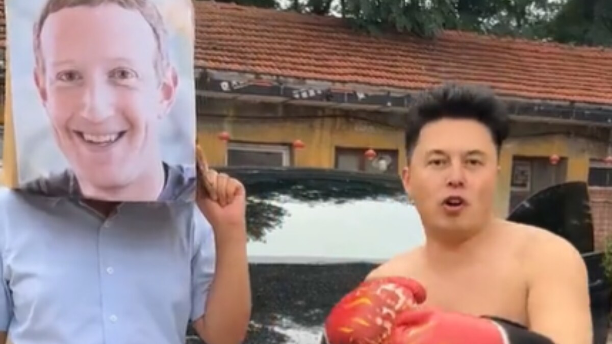 Elon Musk's Doppelganger Ready To Face Mark Zuckerberg, Just In Case ...