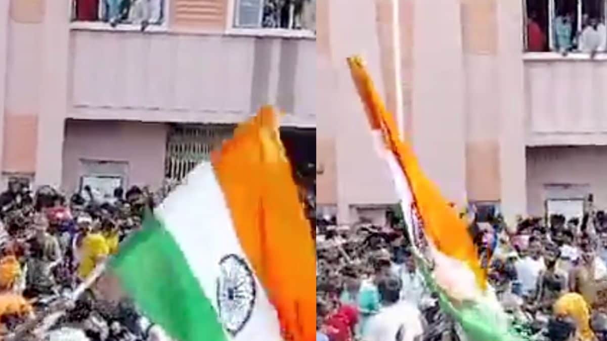 Gadar 2 Frenzy: Viral Video Shows Massive Crowd Hoisting Indian Flag ...