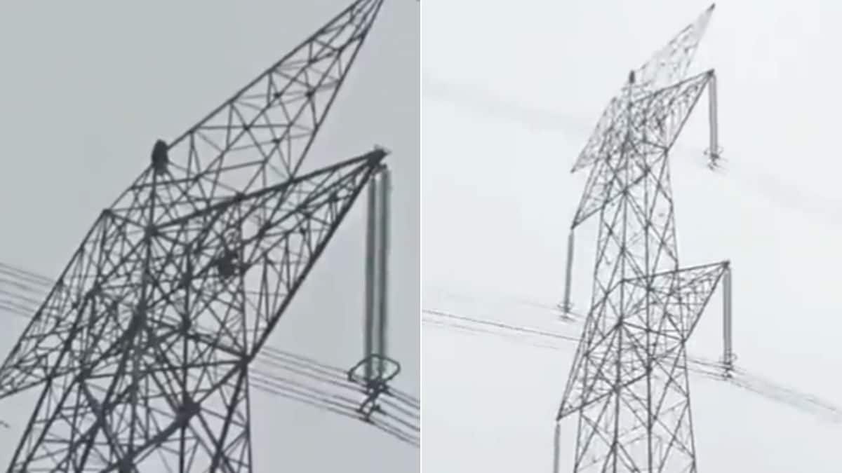 Minor Girl Climbs 80-Feet Tall High-Tension Tower After Fight With ...