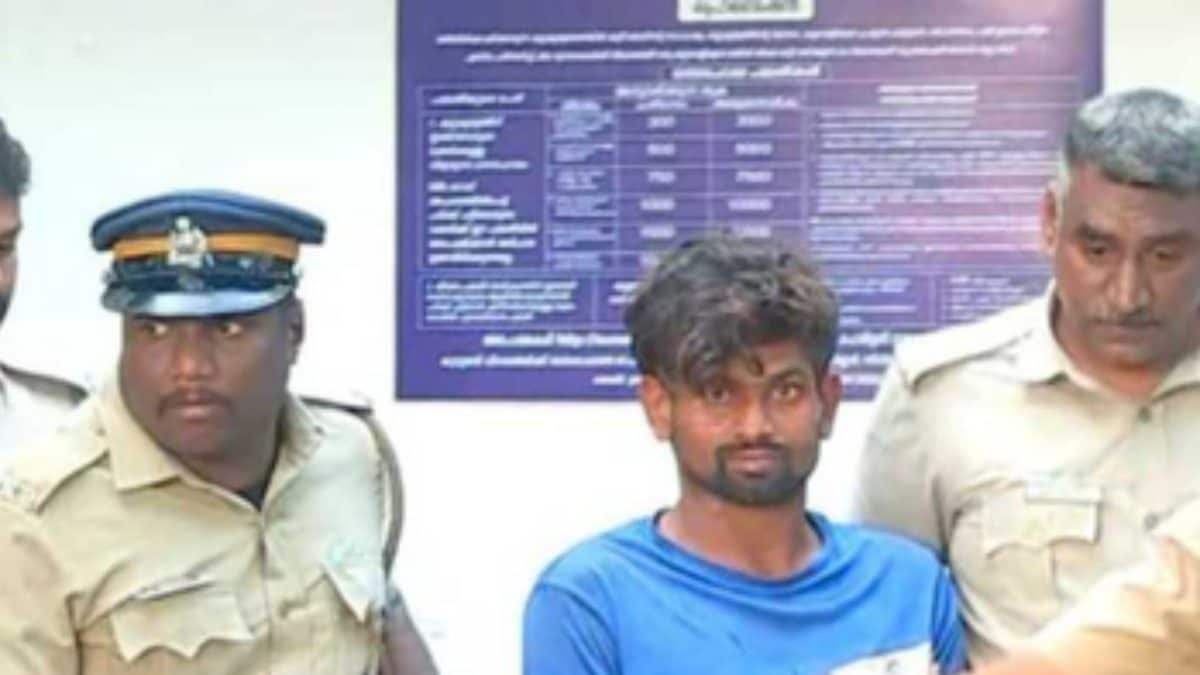 Man Who Killed 5-Yr-Old Girl in Kerala Was in Delhi Jail for Raping Minor | India News - News18