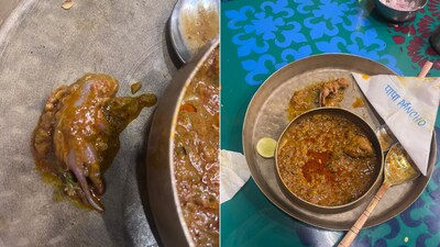 'Rat in Gravy': FDA Shuts Down Popular Bandra Eatery Pending Compliance ...