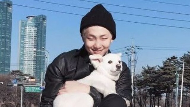 RM aka Kim Namjoon Reveals His Pet Dog Moni Died, BTS Fans Offer Their ...