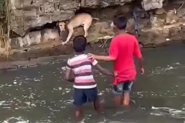 Viral Video: Two Boys Cross Flooded Road To Rescue Dog, Internet Is ...