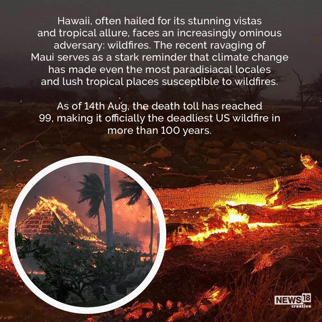 Hawaii Death Toll Tops 100: The Story Behind the Deadliest US Wildfire ...