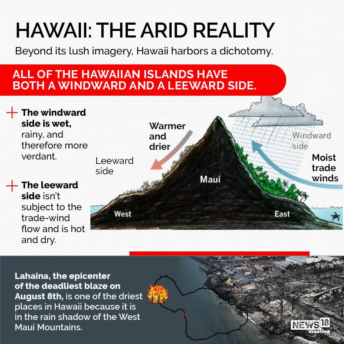 Hawaii Death Toll Tops 100: The Story Behind the Deadliest US Wildfire ...