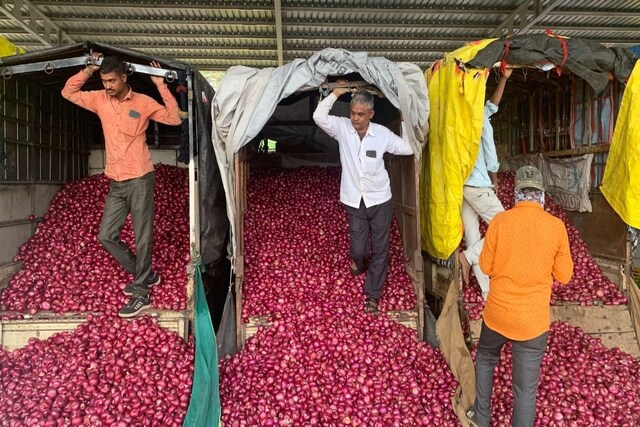 Onion Prices: All-India Average Rate Revealed, Check Latest Per Kg ...