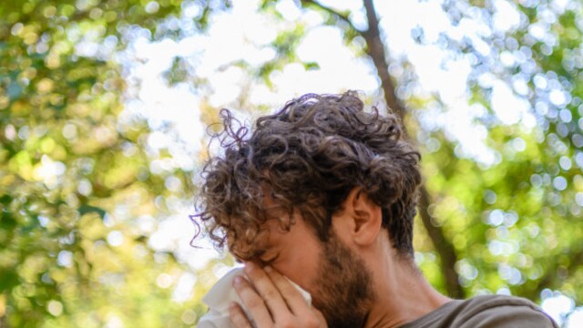 Navigating Pollen Allergies: Understanding the Surge in February ...