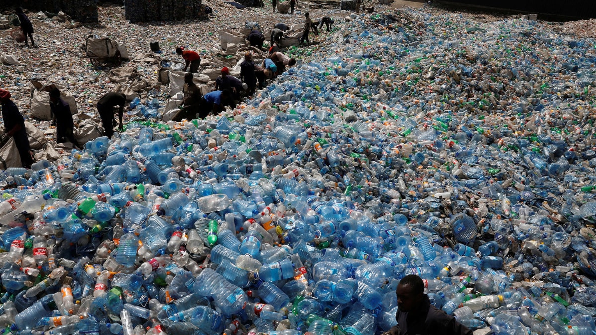 Scientists Engineer Bacteria to Make Infinitely Recyclable Plastics ...