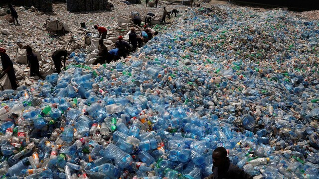Scientists Engineer Bacteria to Make Infinitely Recyclable Plastics ...