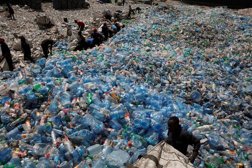 Scientists Engineer Bacteria to Make Infinitely Recyclable Plastics ...