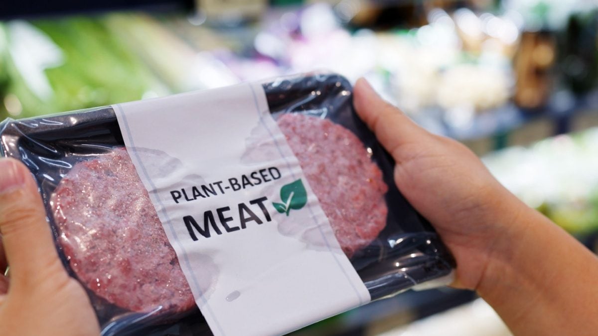 Plant Based Meat Alternatives: A Comparative Analysis of Taste, Texture ...