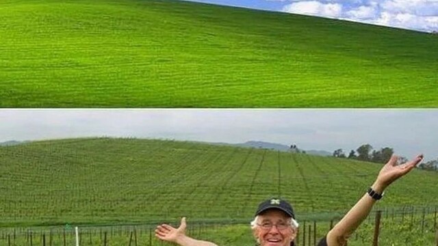 The Iconic Windows XP Bliss Wallpaper Was Actually The 'By-Product Of A ...