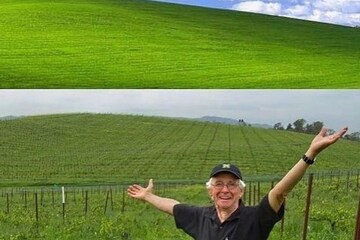 The Iconic Windows XP Bliss Wallpaper Was Actually The 'By-Product Of A ...