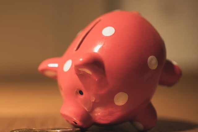 Pygg Clay To Modern Money Management, The Curious Tale Of Piggy Banks ...