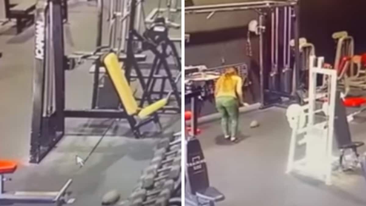 This Turtle’s Visit To Gym Is The Cutest Things On The Internet Today ...