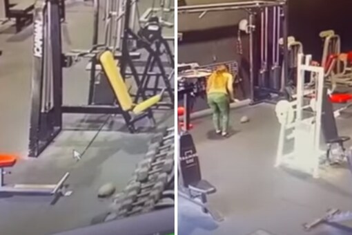 This Turtle’s Visit To Gym Is The Cutest Things On The Internet Today ...