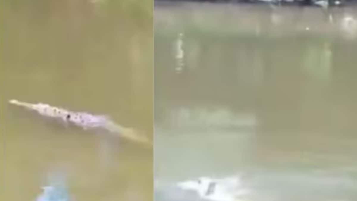 29-year-old Costa Rican Footballer Jesus Alberto Lopez Killed In A ...