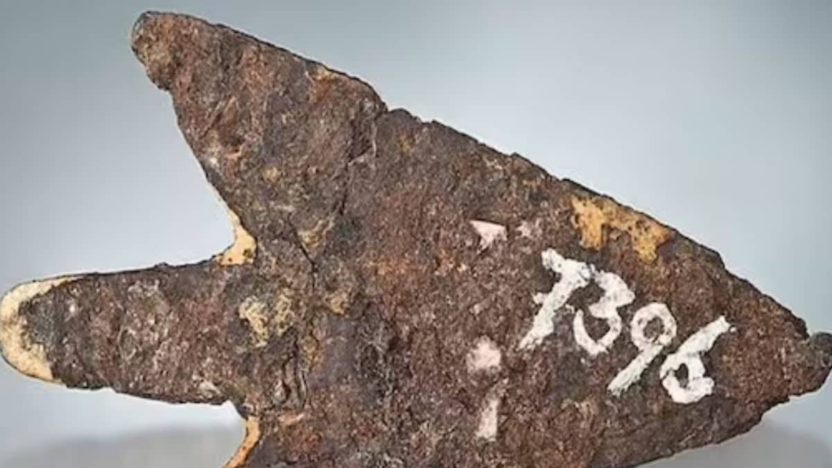3000-Year-Old Arrowhead Made From Rare Alien Metal Found In Switzerland ...