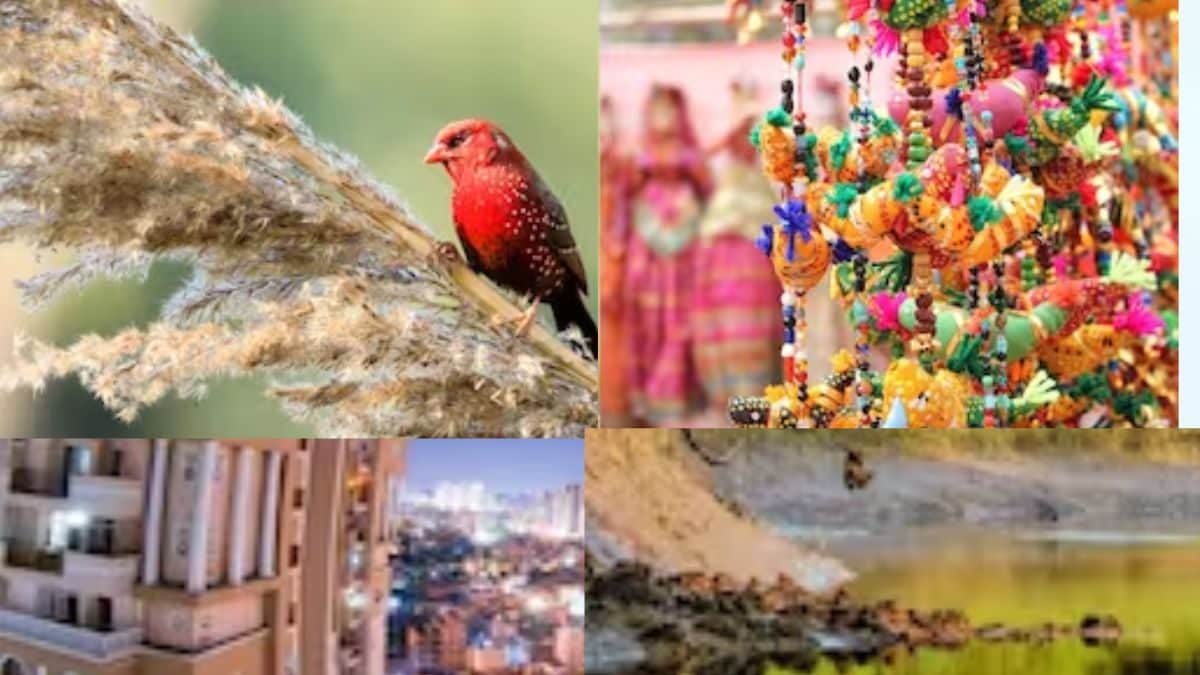 Botanical Garden To Okhla Bird Sanctuary, A Look At The 5 Best Places ...