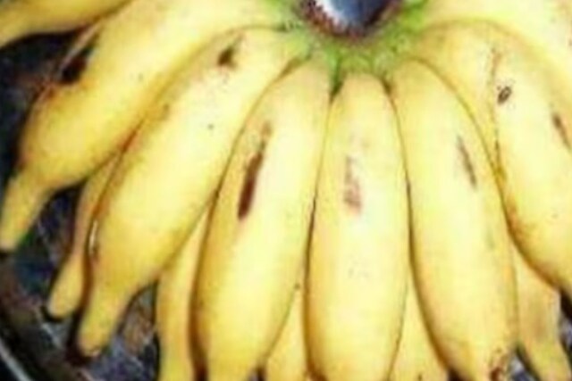 This Banana Breed From Kanyakumari District Gets Geographical ...