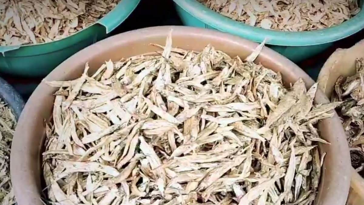This Andhra Pradesh Region Is Famous For Its Dry Fish Dishes; Deets ...