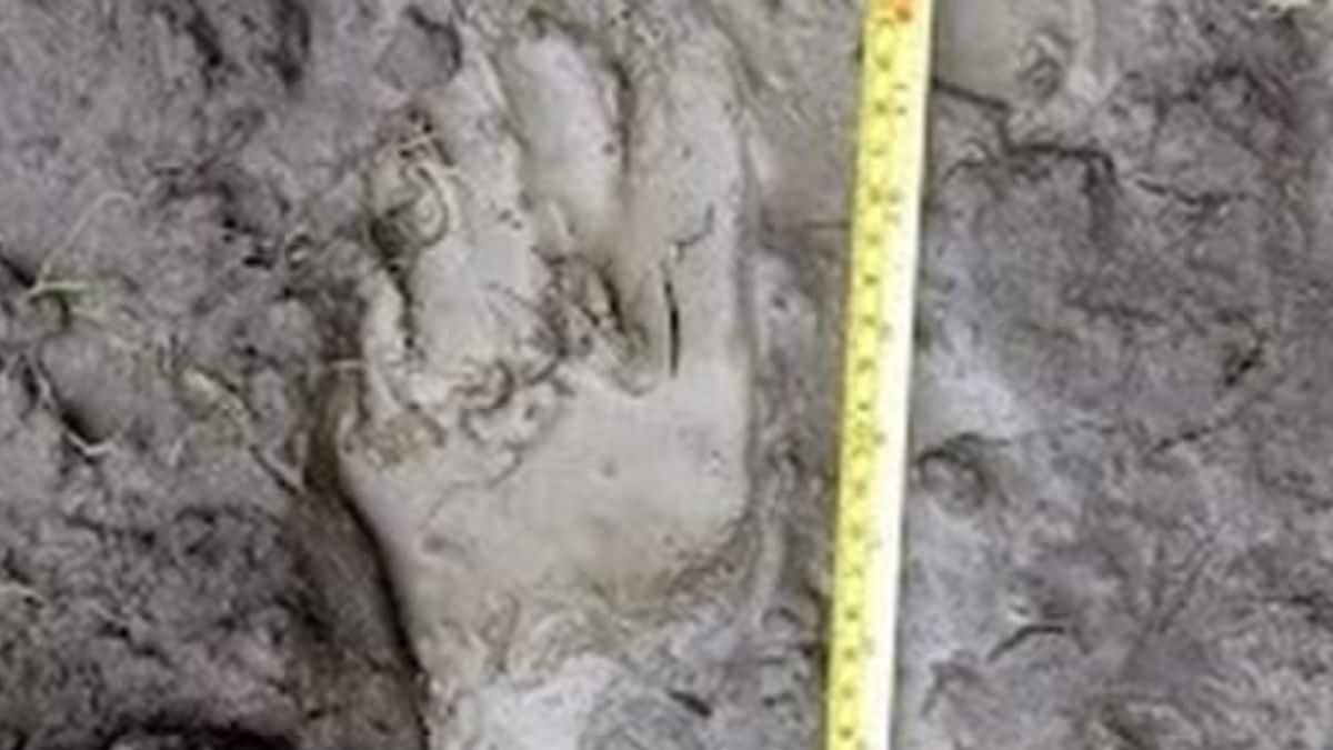 Footprints Measuring 12 Inches Found In Alaska, Internet Believes It's ...