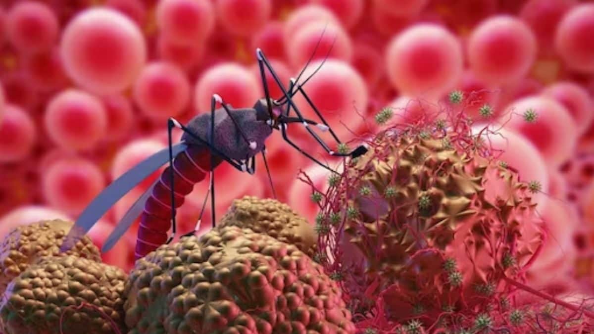 Bill Gates-Backed Oxitec Releases Super Mosquitoes To Eradicate Malaria ...