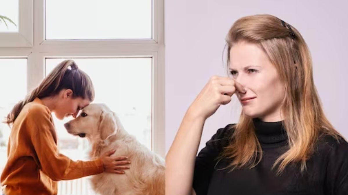 Fart Jar To Delivery Video, Models Share Weird Fan Demands On Adult ...