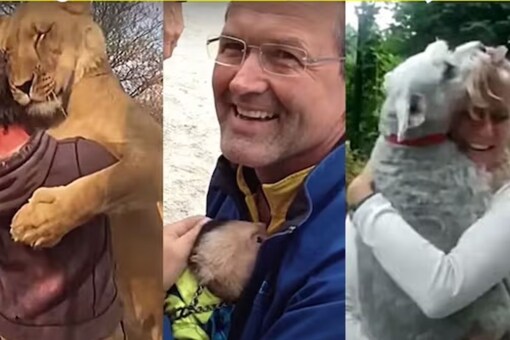 Watch: Animals Reunite With Their Owners; We Are Not Crying, You Are ...