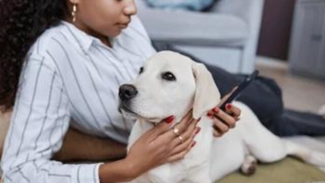 Friendship Day 2023: Here Is How You Can Spend The Perfect Day With ...