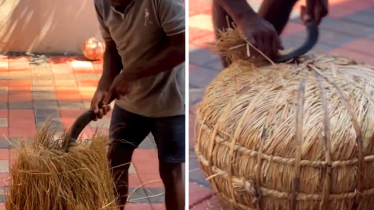 Watch: Traditional Method Of Storing Paddy In Udupi | Viral News - News18