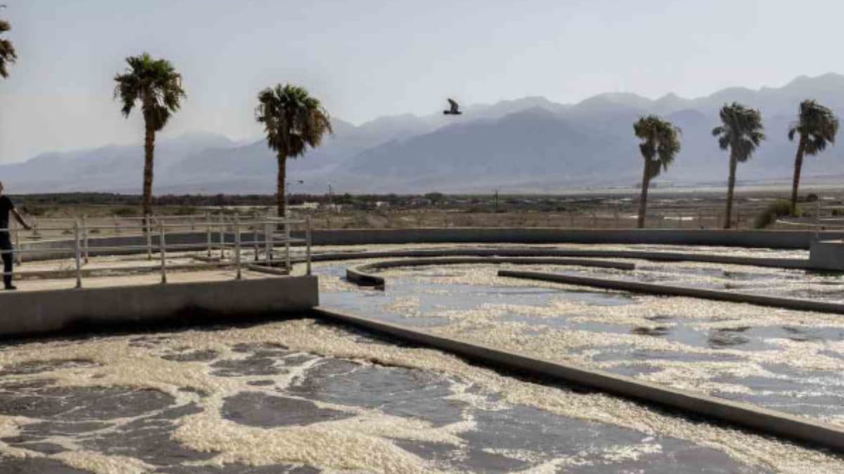 Israel's Pioneering Use of Water 'to the Last Drop' | Viral News - News18