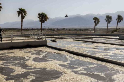 Israel's Pioneering Use of Water 'to the Last Drop' - News18