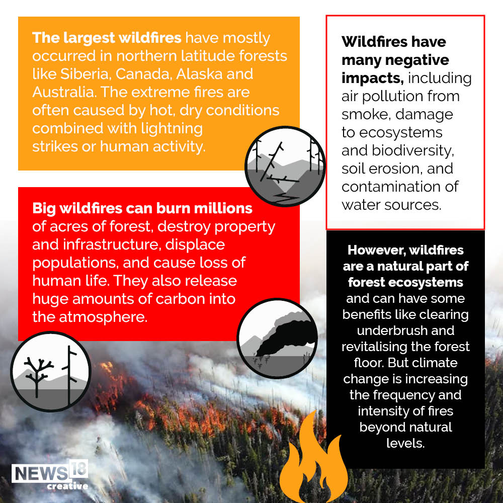 As Wildfires Devastate Hawaiian Island, A Look at History's Most ...