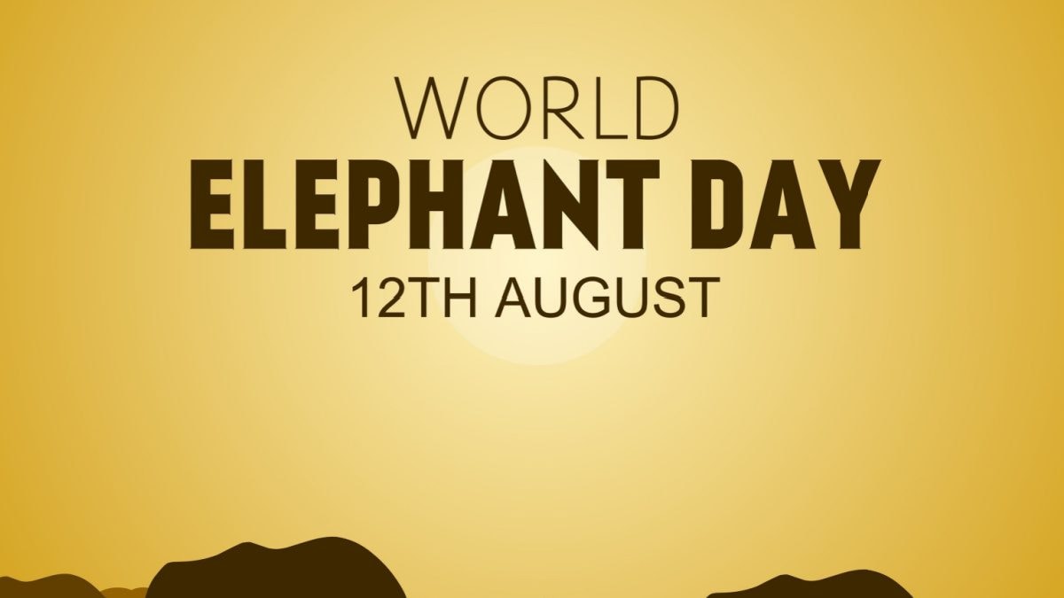 World Elephant Day 2023: Why is August 12 a Elephant Day? Theme ...