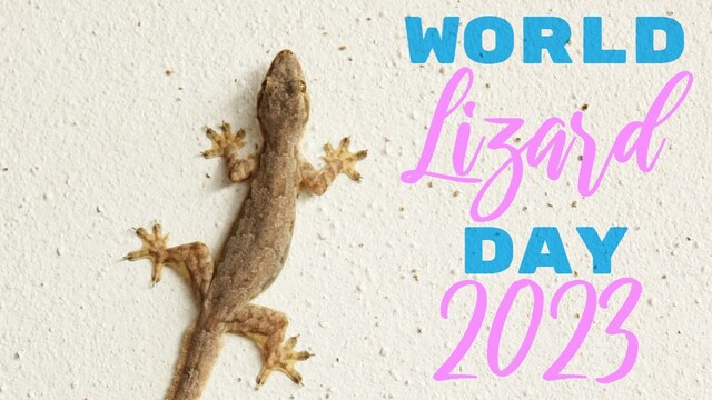 World Lizard Day 2023: History, Significance, and 5 Common ...