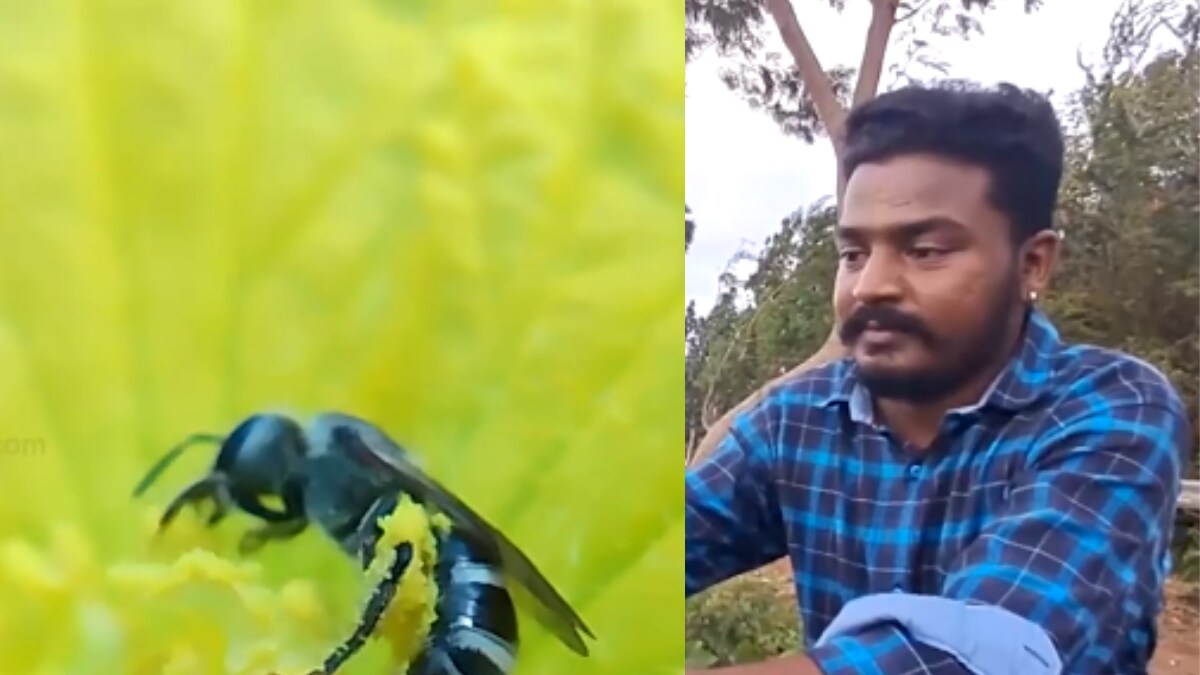 Coimbatore Youth Showcases His Breathtaking Photography Skills ...