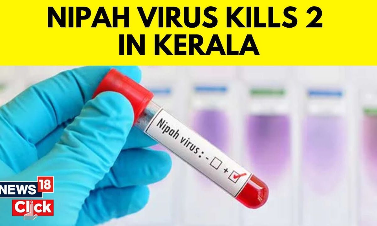 Nipah Virus Kerala | Kozhikode On High Alert After 2 Dead In Kerala Due To Nipah Virus | N18V ...