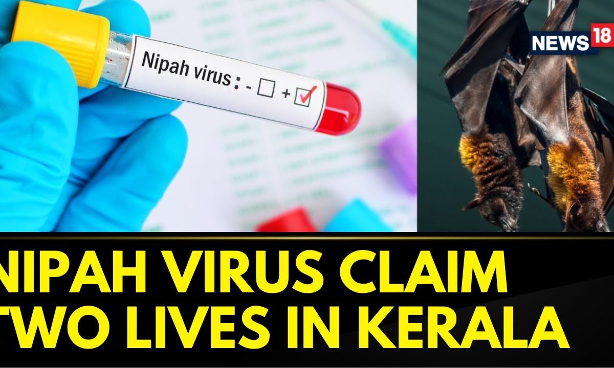 Nipah Virus Kerala | Kozhikode On High Alert After 2 Dead In Kerala Due To Nipah Virus | News18 ...