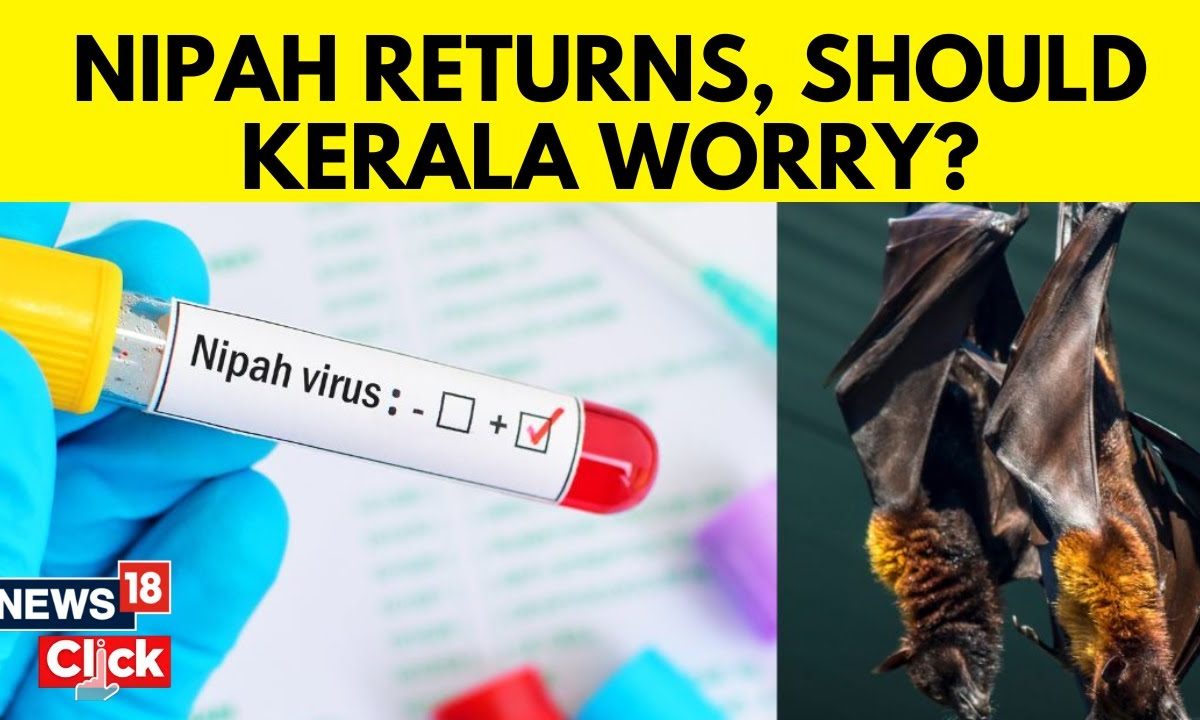 Explained What Is Nipah Virus Symptoms And Measures Kerala News