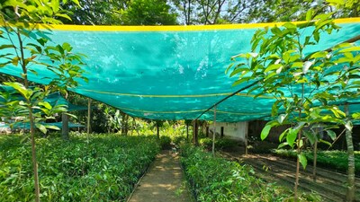 In a Bid To Boost Plantation Economy, Assam To Create 4 New World ...