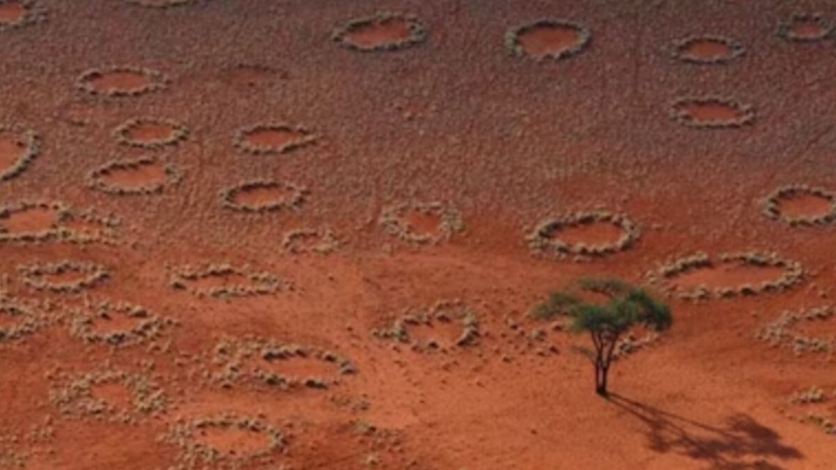 Mysterious 'Fairy Circles' Found in Australia And Africa Now Discovered ...